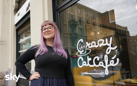 4 Ristoranti a Milano, Crazy Cat Café: il menu e 4 cose da sapere