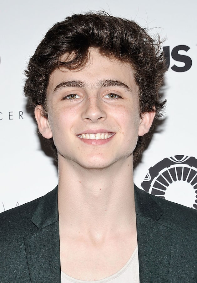 Timothée Chalamet, the evolution of a young star. All his haircuts ...