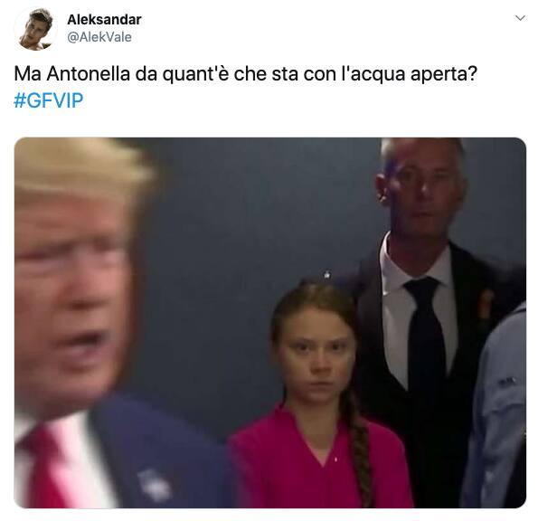 Grande Fratello Vip, i 10 meme più divertenti su Twitter