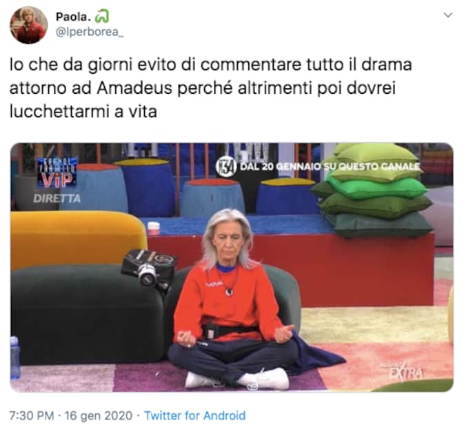 Amadeus Meme