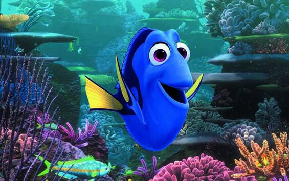 ‘Zitto e nuota’: gli insegnamenti di Dory | Sky TG24