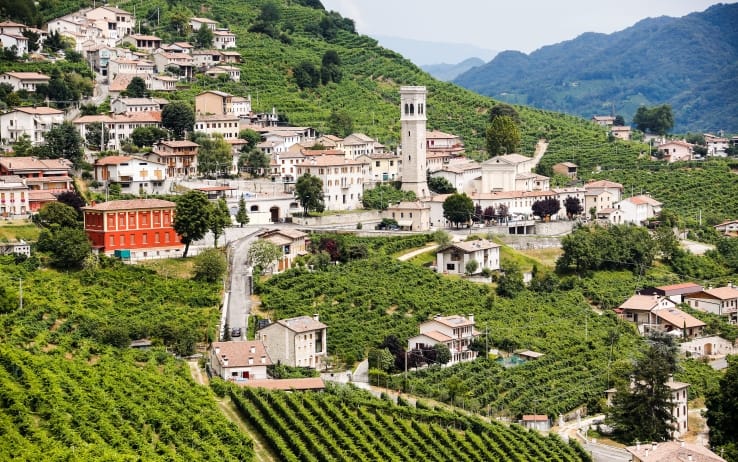 Prosecco, le colline dove sorgono i vigneti sono Patrimonio Unesco ...