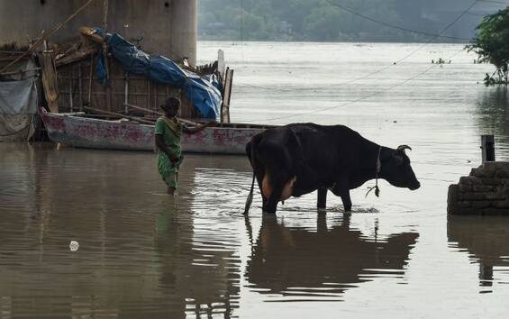 Monsoni in India, media locali: oltre 500 vittime. FOTO | Sky TG24