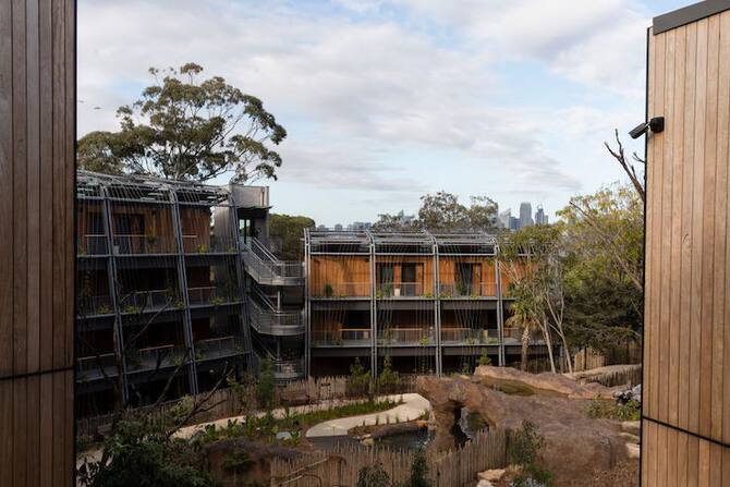 Un hotel all’interno dello zoo: a Sydney apre il Wildlife Retreat. FOTO ...