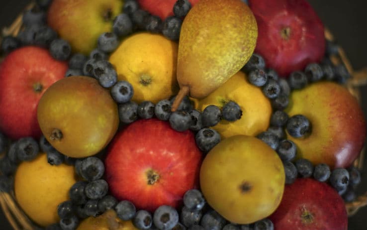 Calorie della frutta: quali sono i frutti più e meno calorici