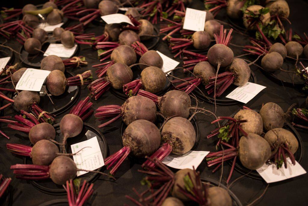 Frutta e verdura di stagione in inverno, l'elenco completo. FOTO
