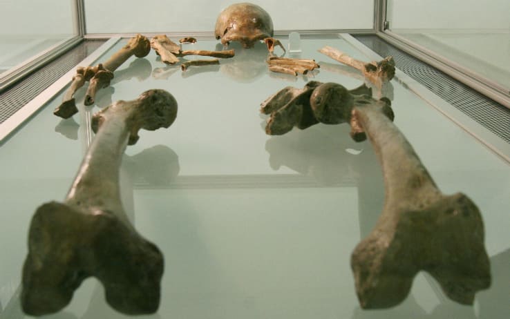 Archeologia: accordato un finanziamento per gli studi sull'uomo di Altamura