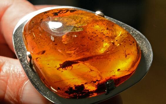 L'ambra siciliana presente nella penisola iberica già dal 4.000 a.C ...