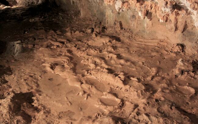 Teschio di Homo Sapiens ritrovato nel fiume Po: risale al Paleolitico ...