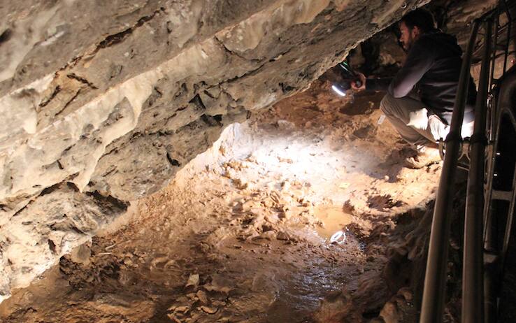 Teschio di Homo Sapiens ritrovato nel fiume Po: risale al Paleolitico ...