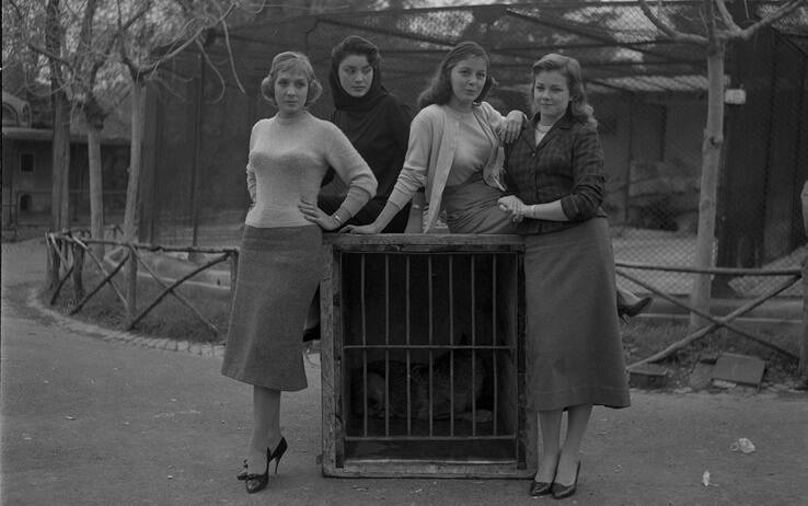 Alessandra Panaro, le foto dell'attrice diventata celebre per 'Poveri ...